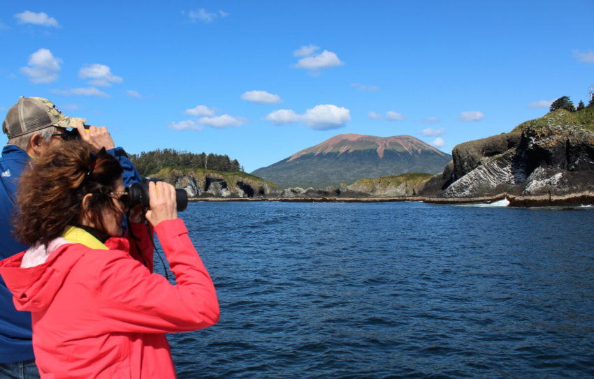 Sitka Birdwatching Tour | Alaska | A Whale's Song Expedition